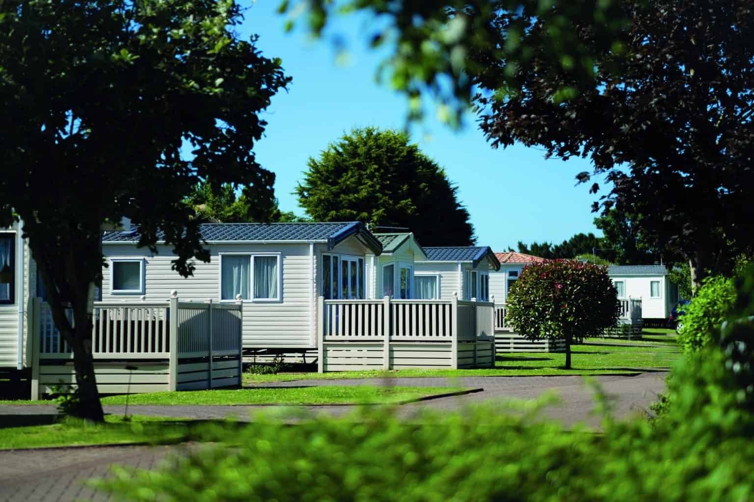 Dog Friendly Holidays in Brean: Perfect Getaways for Your Pet