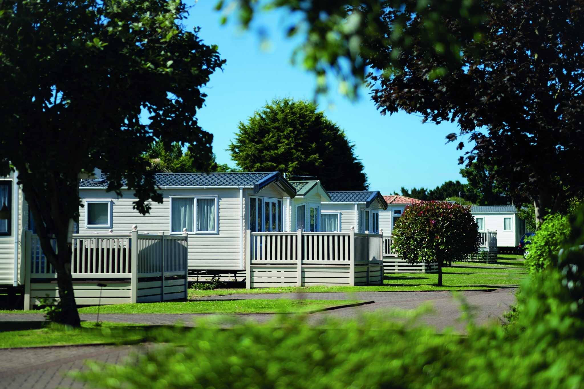 Dog Friendly Holidays in Brean: Perfect Getaways for Your Pet