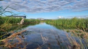 Unity Beach | Discover Brean